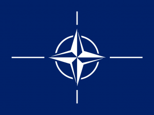 General Vitale: Saradnja NATO i Srbije mnogo jača nego što građani vide ...